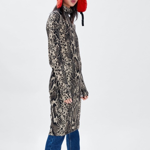 Zara | Dresses | Zara Snake Textured Weave Dress | Poshmark